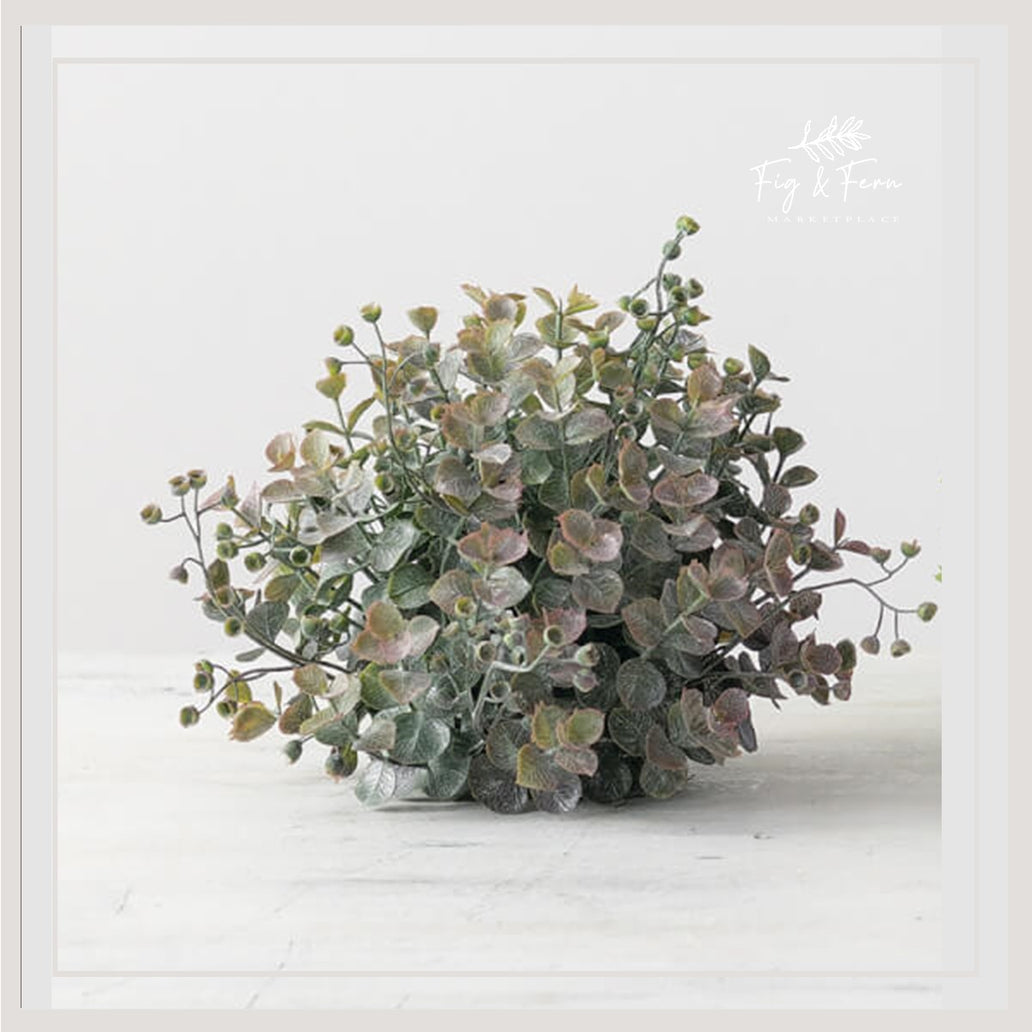 Fig & Fern Marketplace